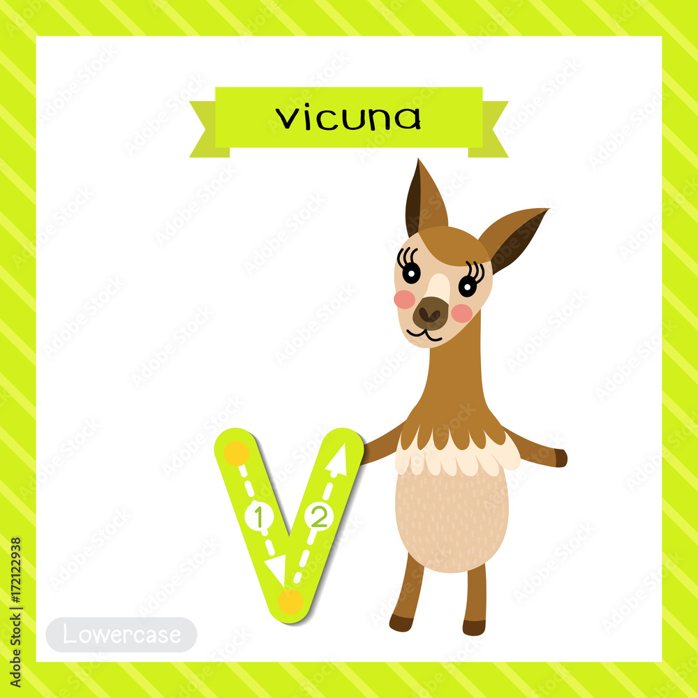 Animals That Start With The Letter V