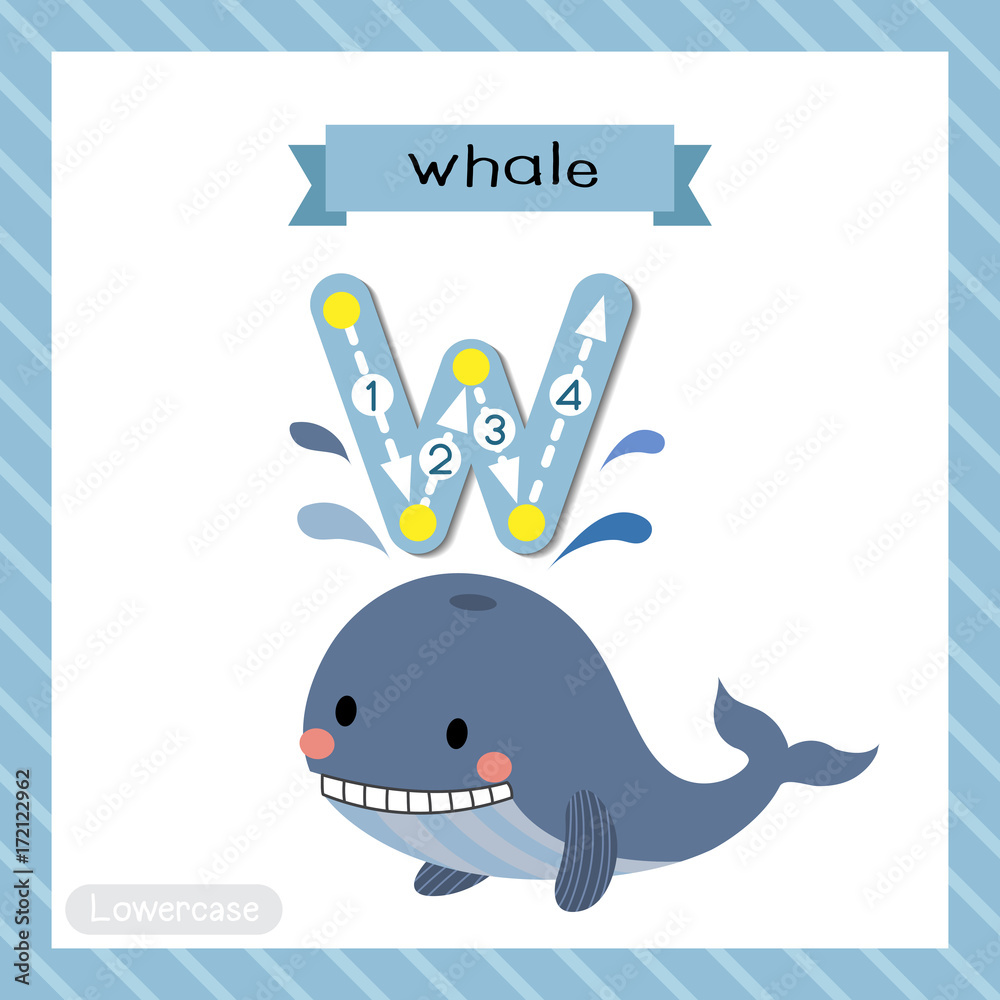 Animals That Start With The Letter W