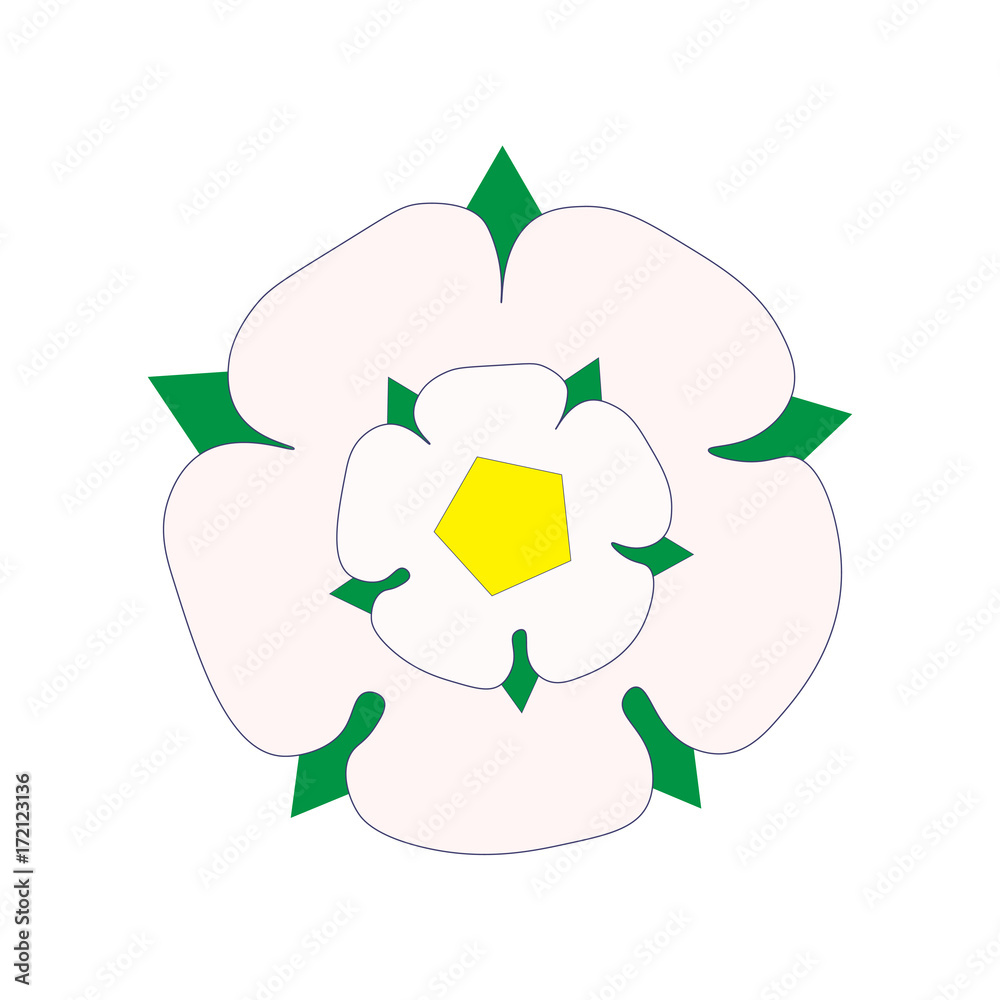 Vector illustration in a flat style: White Rose of York also know as ...