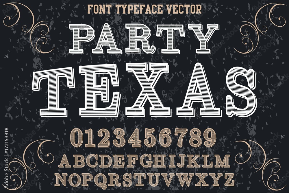 handcrafted vector script alphabet font vintage old style and vector ...