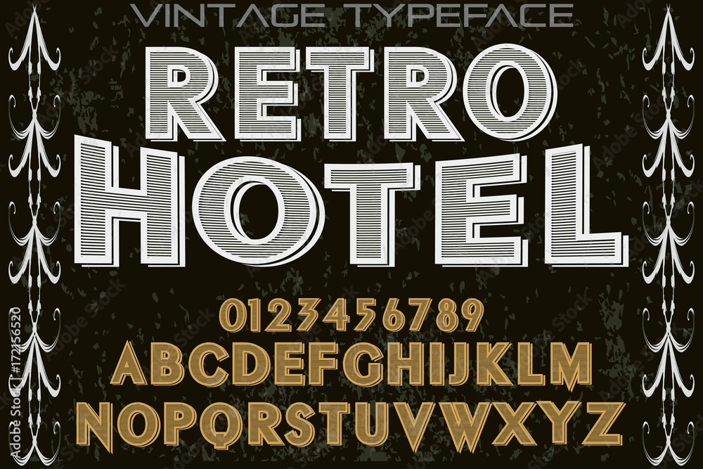 font handwritten vector Calligraphic alphabet,vector,script,font,labels ...