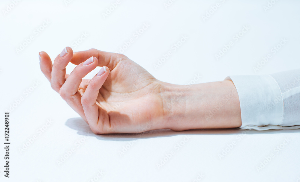 Female's hand over white background. Stock Photo | Adobe Stock