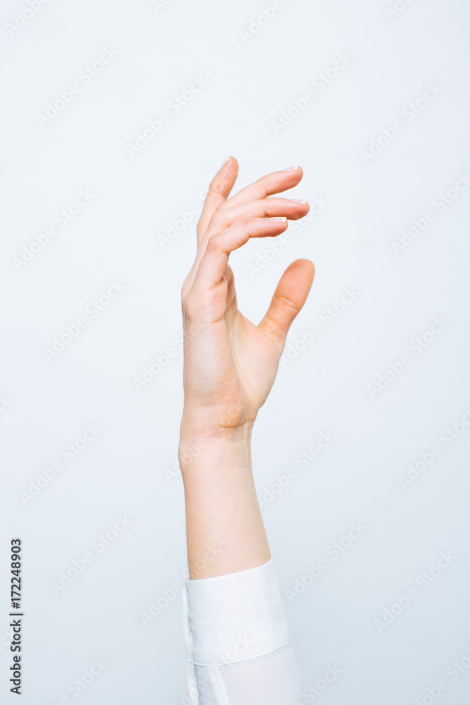 Female's hand over white background. Stock Photo | Adobe Stock