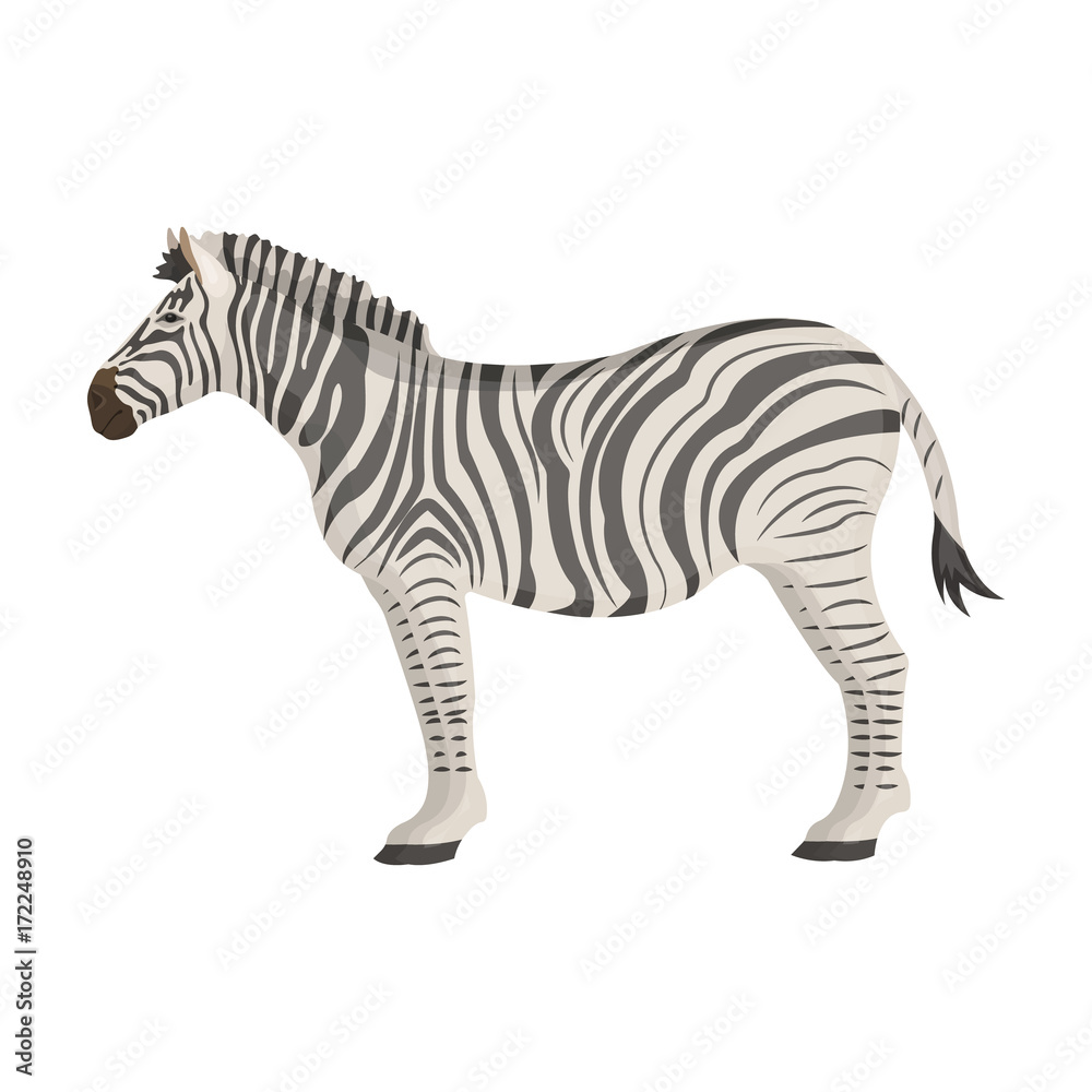 African, desert zebra. Wild cloven-hoofed animal, zebra single icon in ...