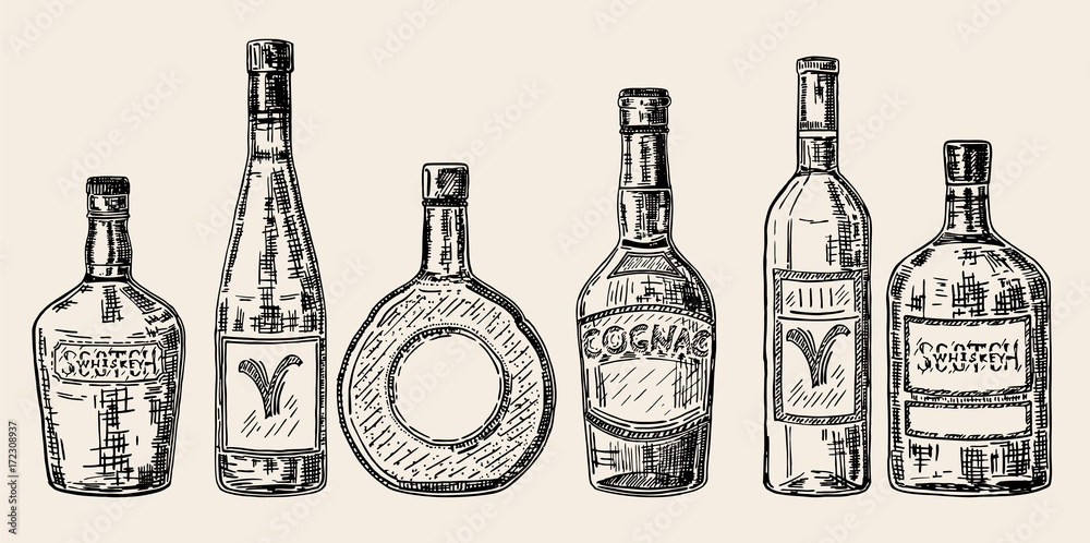 Alcohol Bottles In Hand Drawn Style Graphics Creative