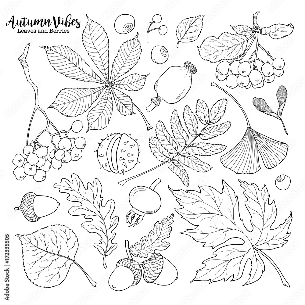 Autumn Clipart Black And White
