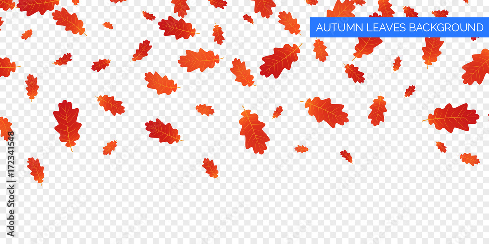 Autumn background design. Autumn falling leaves on transparent ...