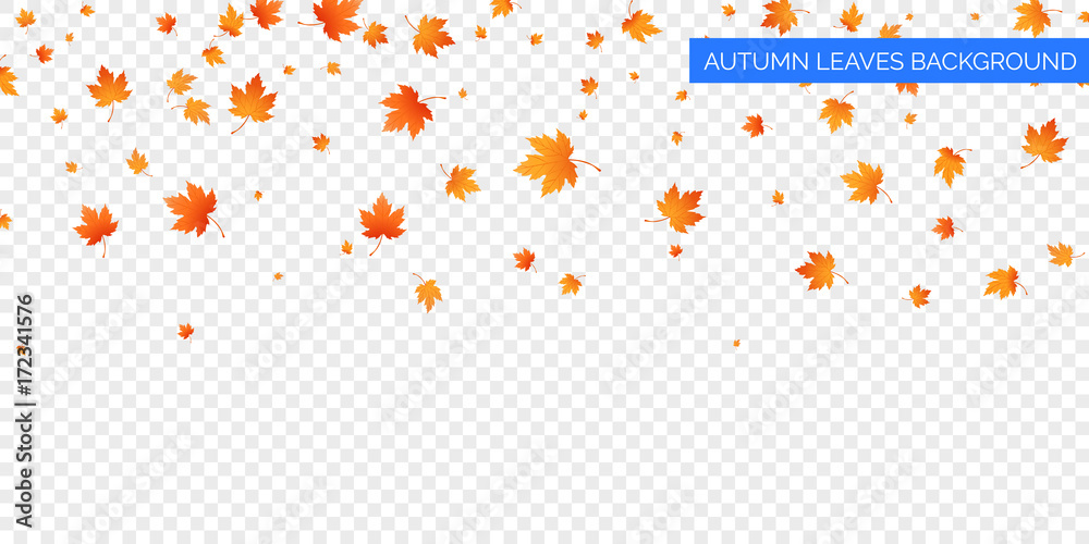 Autumn falling leaves on transparent background. Vector autumnal ...