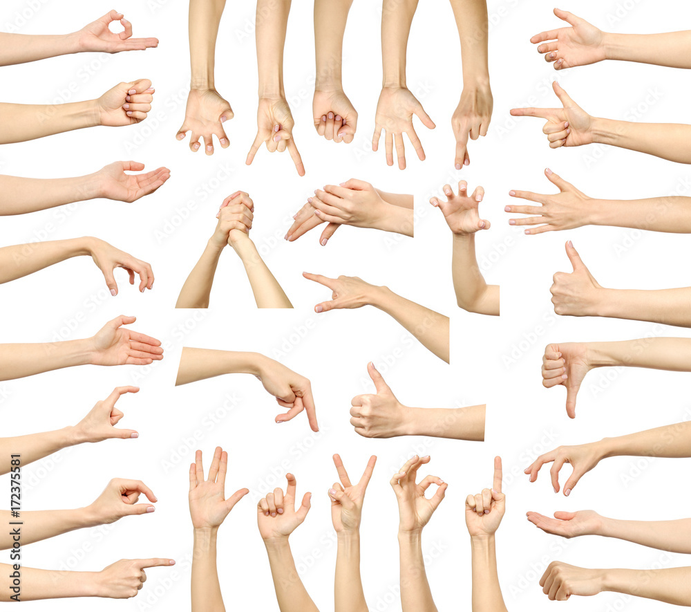 Multiple woman's hand gestures isolated on white Stock Photo | Adobe Stock