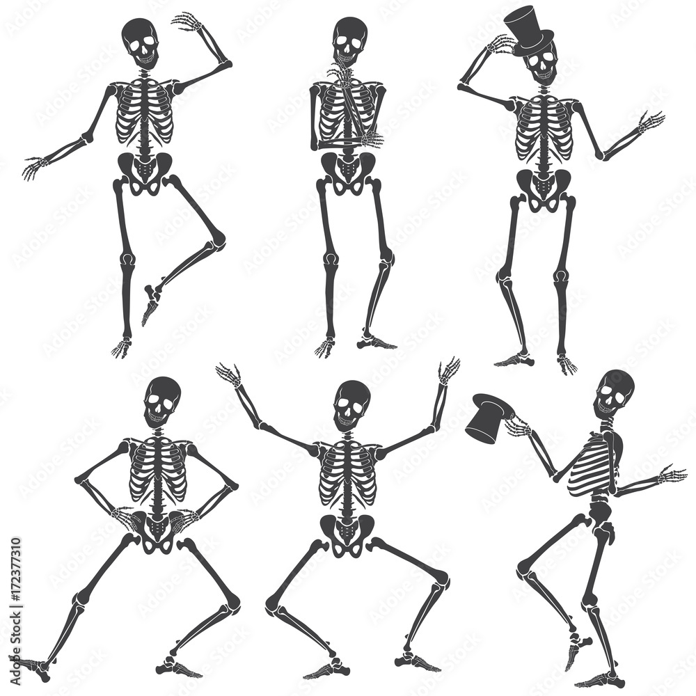 Dancing Skeletons. Different skeleton poses isolated. Stock Vector ...