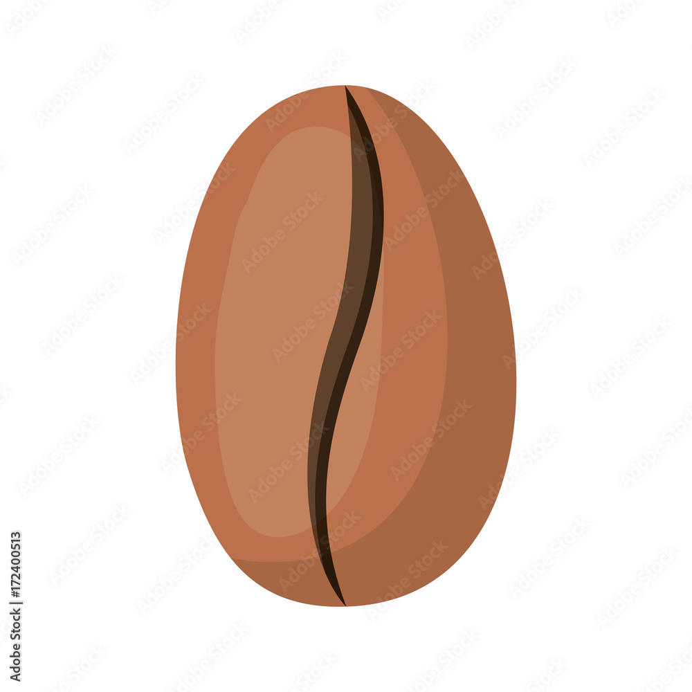 coffee seed realistic colorful silhouette on white background vector ...