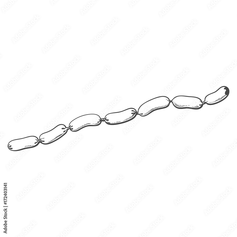 vector sketch sausages chain. Cartoon isolated illustration on a white ...