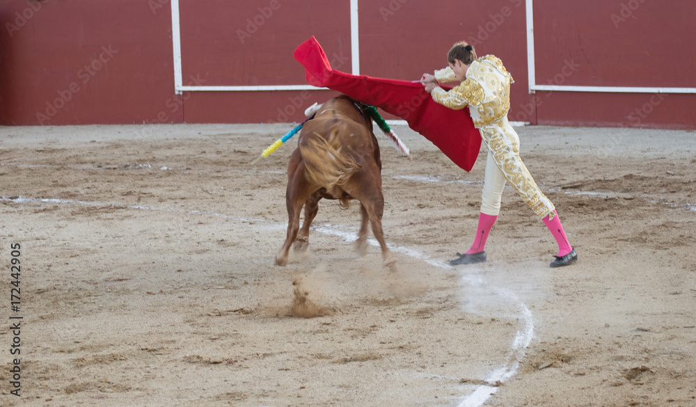 TORERO TOREANDO EN PLAZA DE TOROS Stock Photo | Adobe Stock