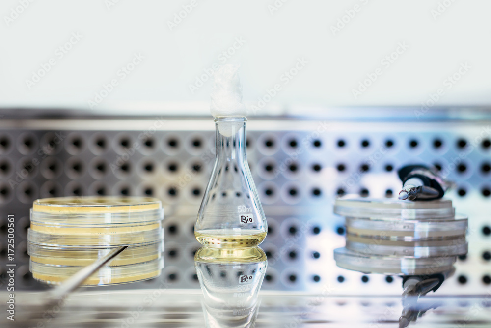 Laboratory equipment on transparent clean table Stock Photo | Adobe Stock