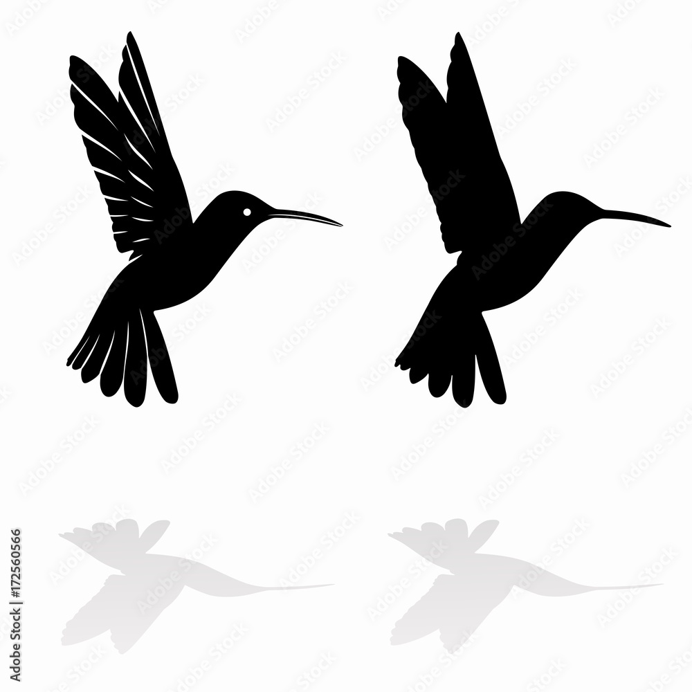 hummingbird silhouette, vector draw Stock Vector | Adobe Stock