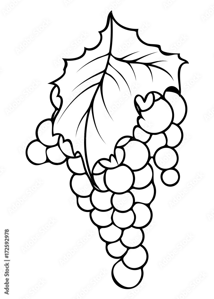 Grapes Clip Art