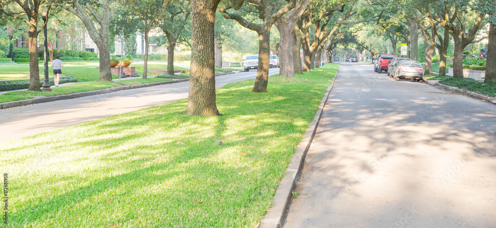 Neighborhood Street Side View