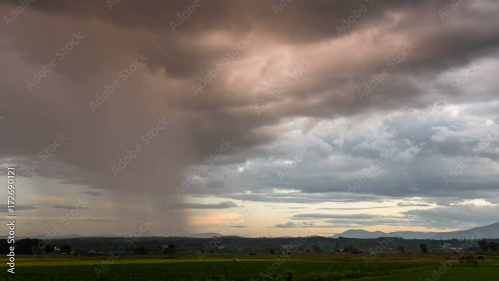 The rain is falling down to bring moisture to the earth. Stock Video ...
