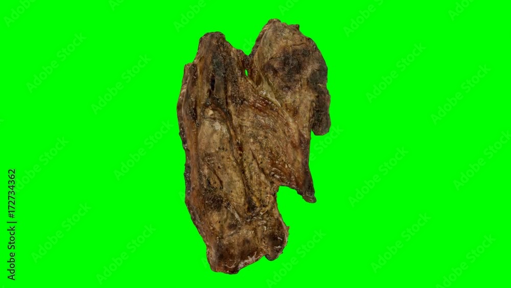 Animated spinning realistic grilled Veal Steak with bones against green ...