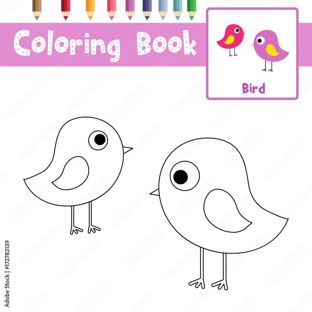 Coloring page of Standing Bird animals for preschool kids activity ...