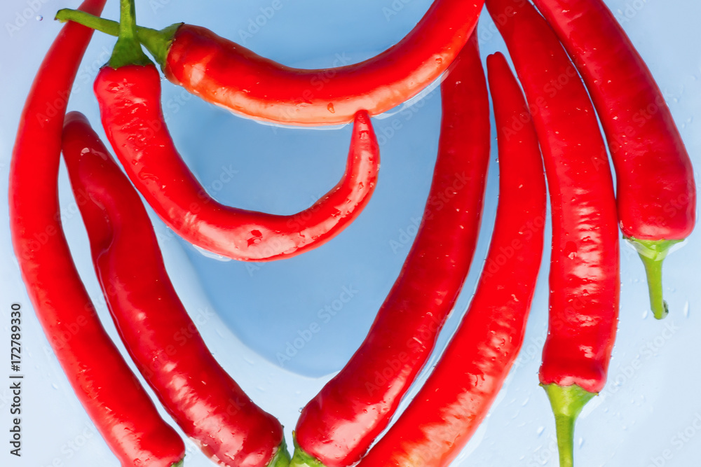 Red cayenne peppers (Capsicum annuum) in water close up. Top view. Aso ...