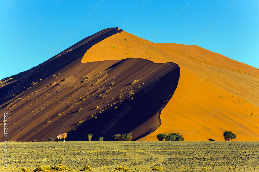Sharp border of light and shadow Stock Photo | Adobe Stock