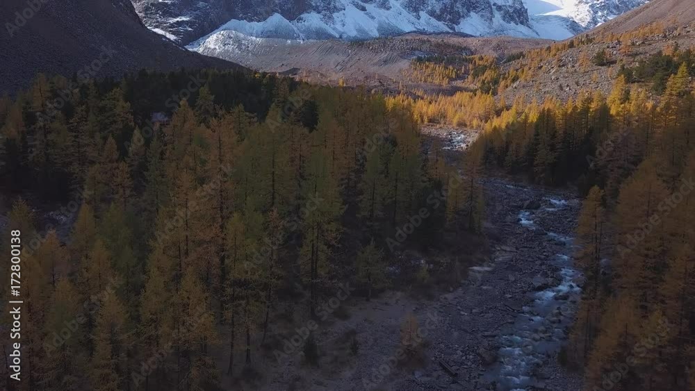 Forest stream running over mossy rocks. Mountain turquoise river among ...