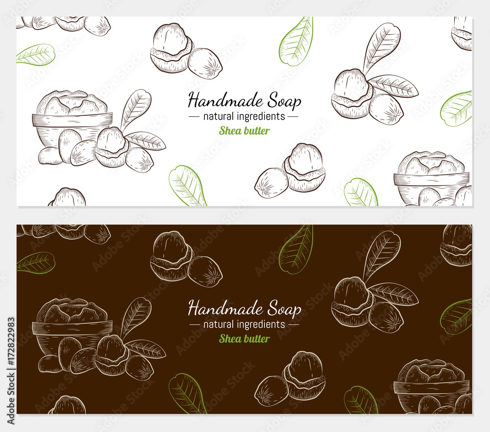 Hand drawn vector illustration of shea butter Stock Vector | Adobe Stock