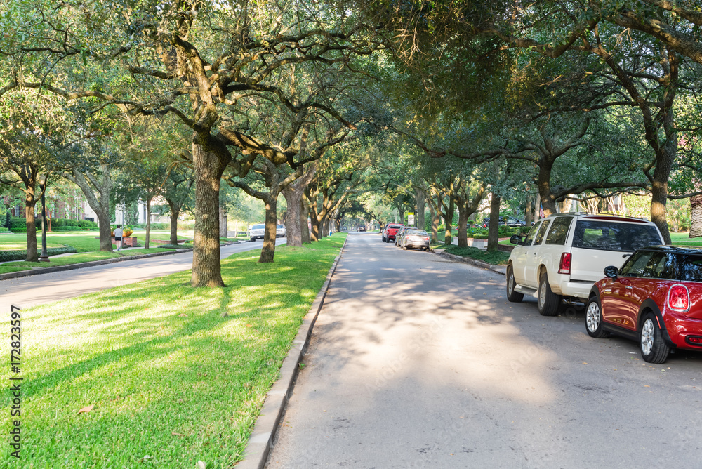 Neighborhood Street Side View