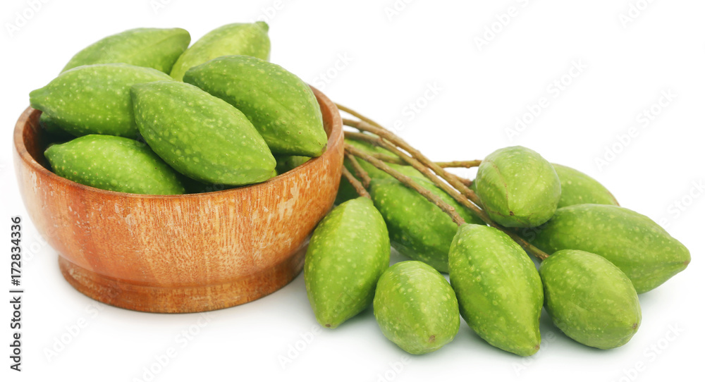 Fresh green medicinal haritaki fruits Stock Photo | Adobe Stock