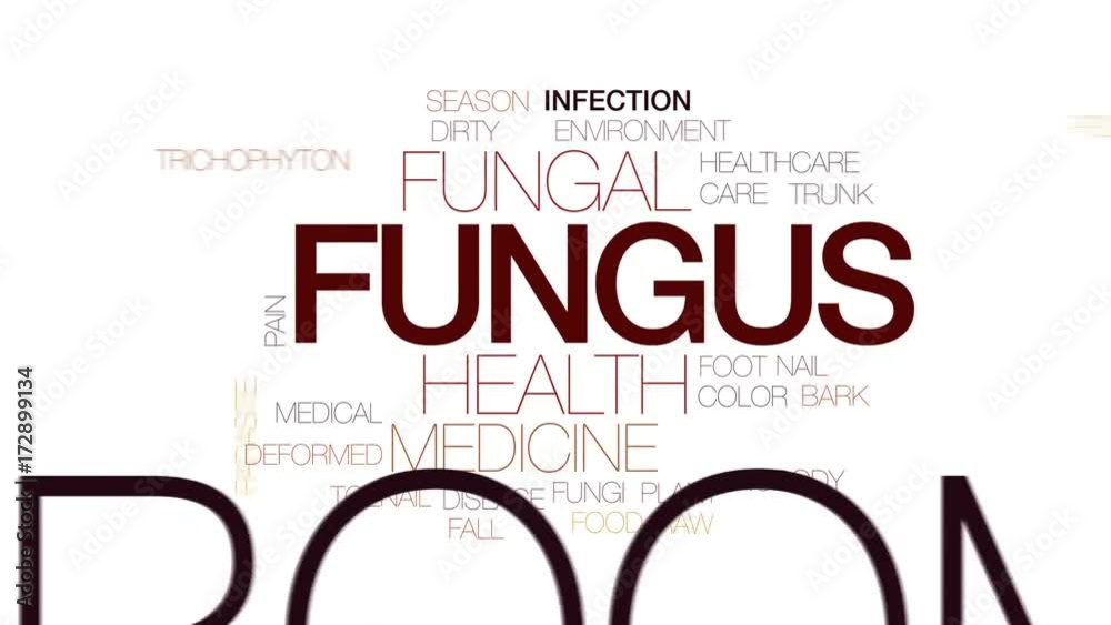 Fungus animated word cloud, text design animation. Kinetic typography ...