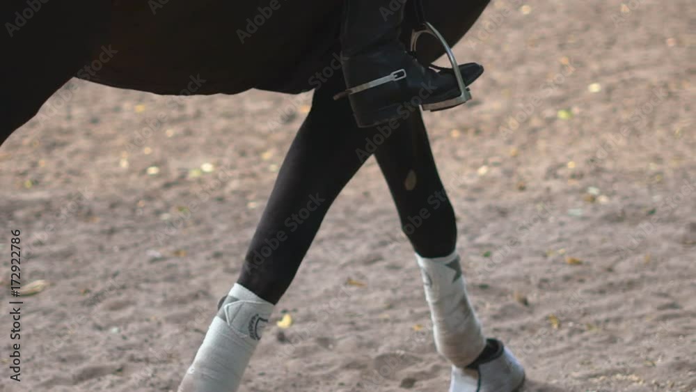 The black horse rides around the arena. the jockey is trained before ...