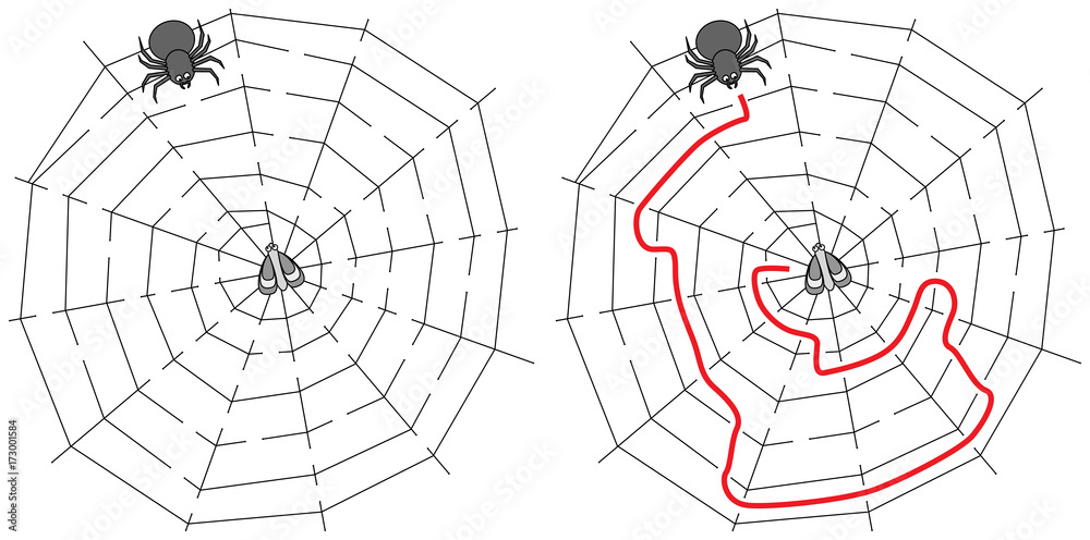 Easy spider maze Stock Vector | Adobe Stock
