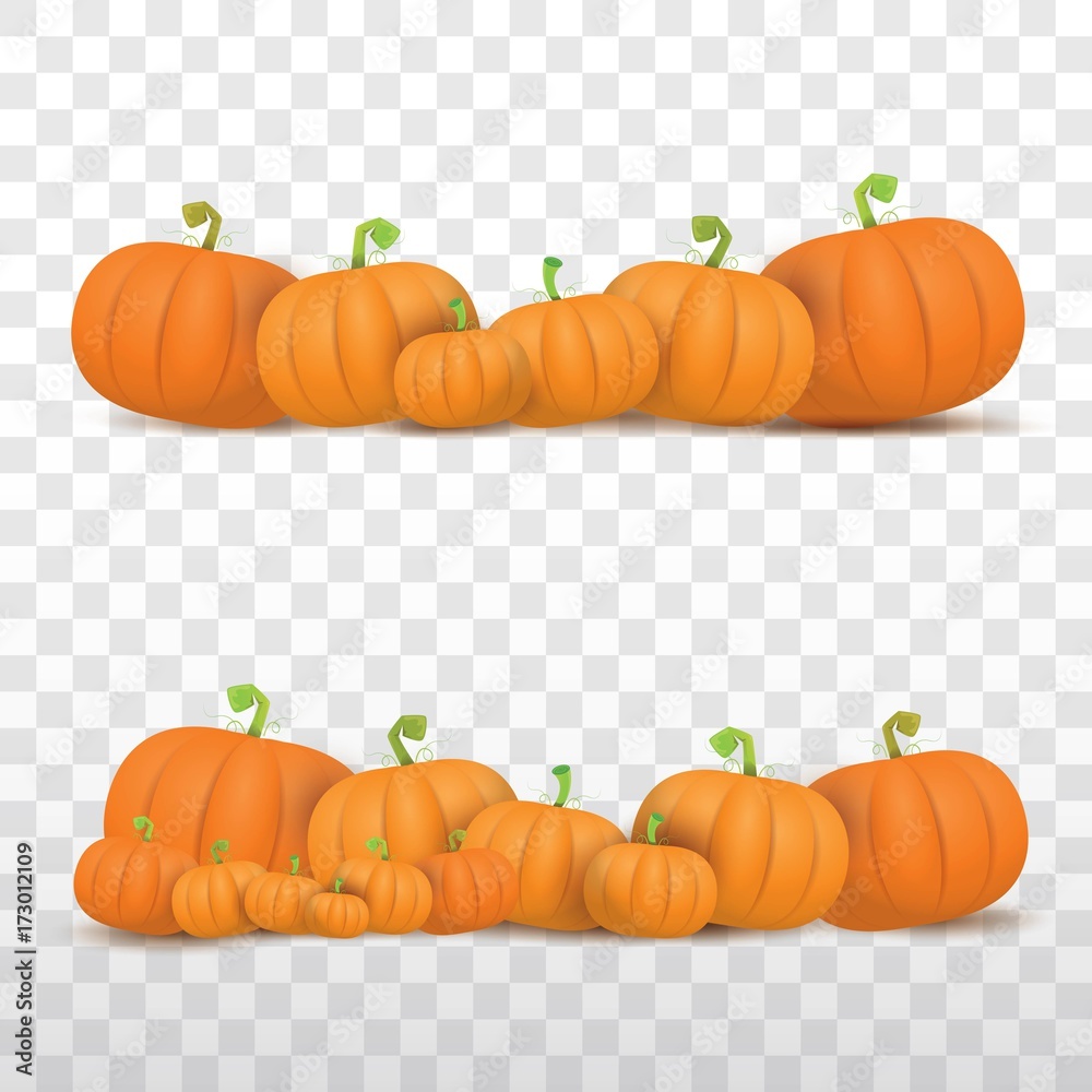 autumn vector orange pumpkins border design template for banners and ...