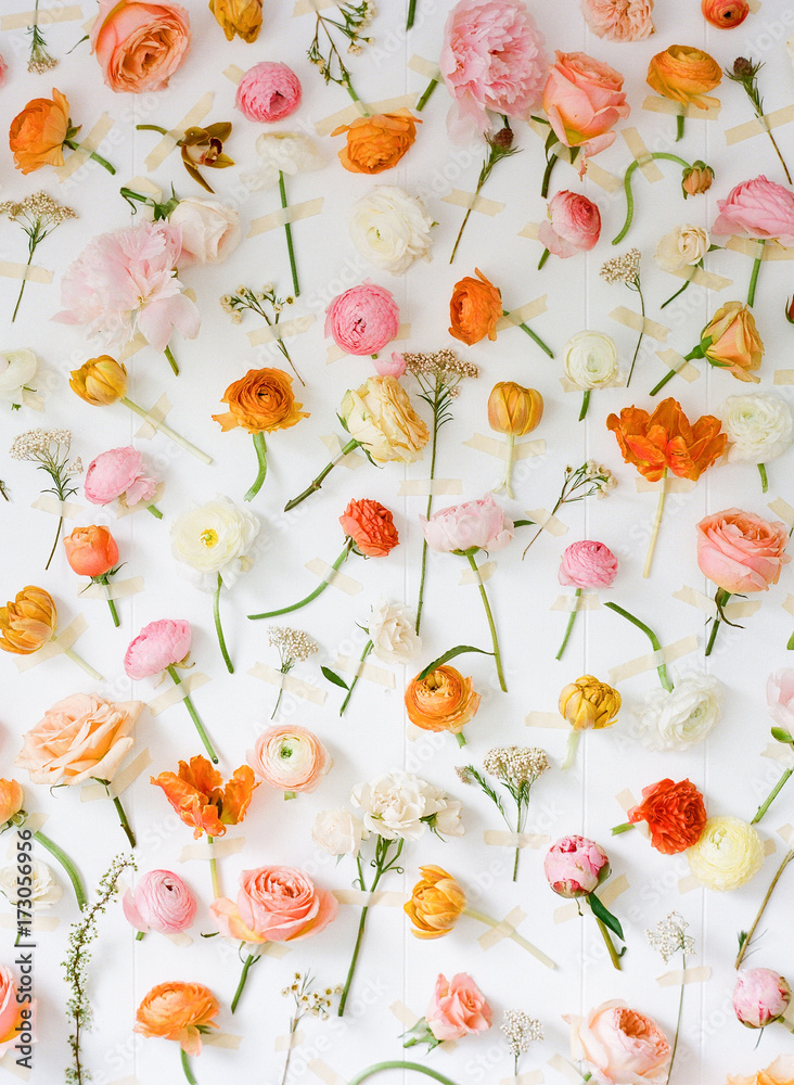 Flower backdrop Stock Photo | Adobe Stock