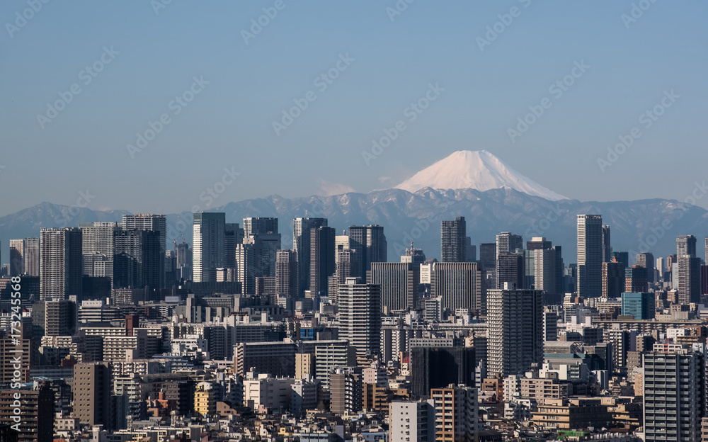 Tokyo city view , Tokyo downtown building and Tokyo tower landmark with ...