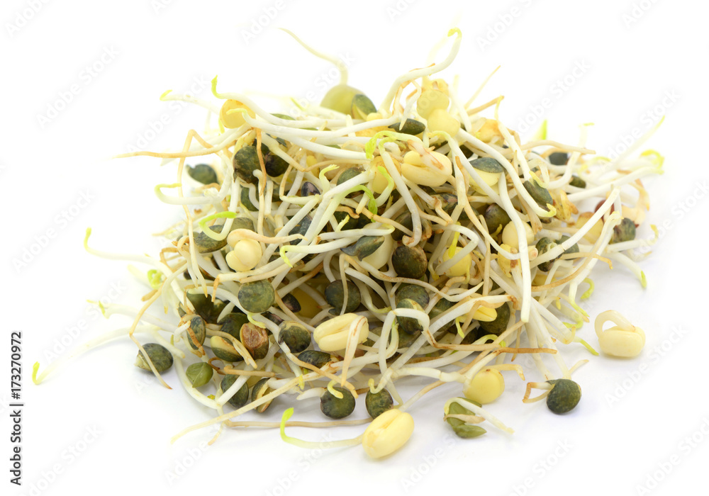 Sprossen Stock-Foto | Adobe Stock