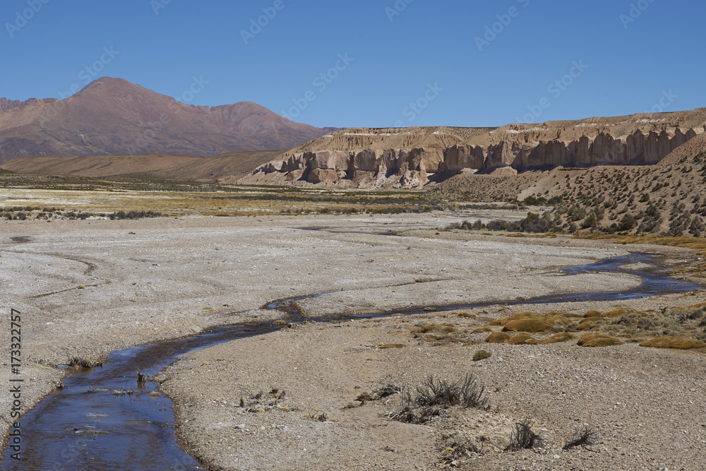 Quebrada Chuba, a wide river valley high on the Altiplano of northern ...