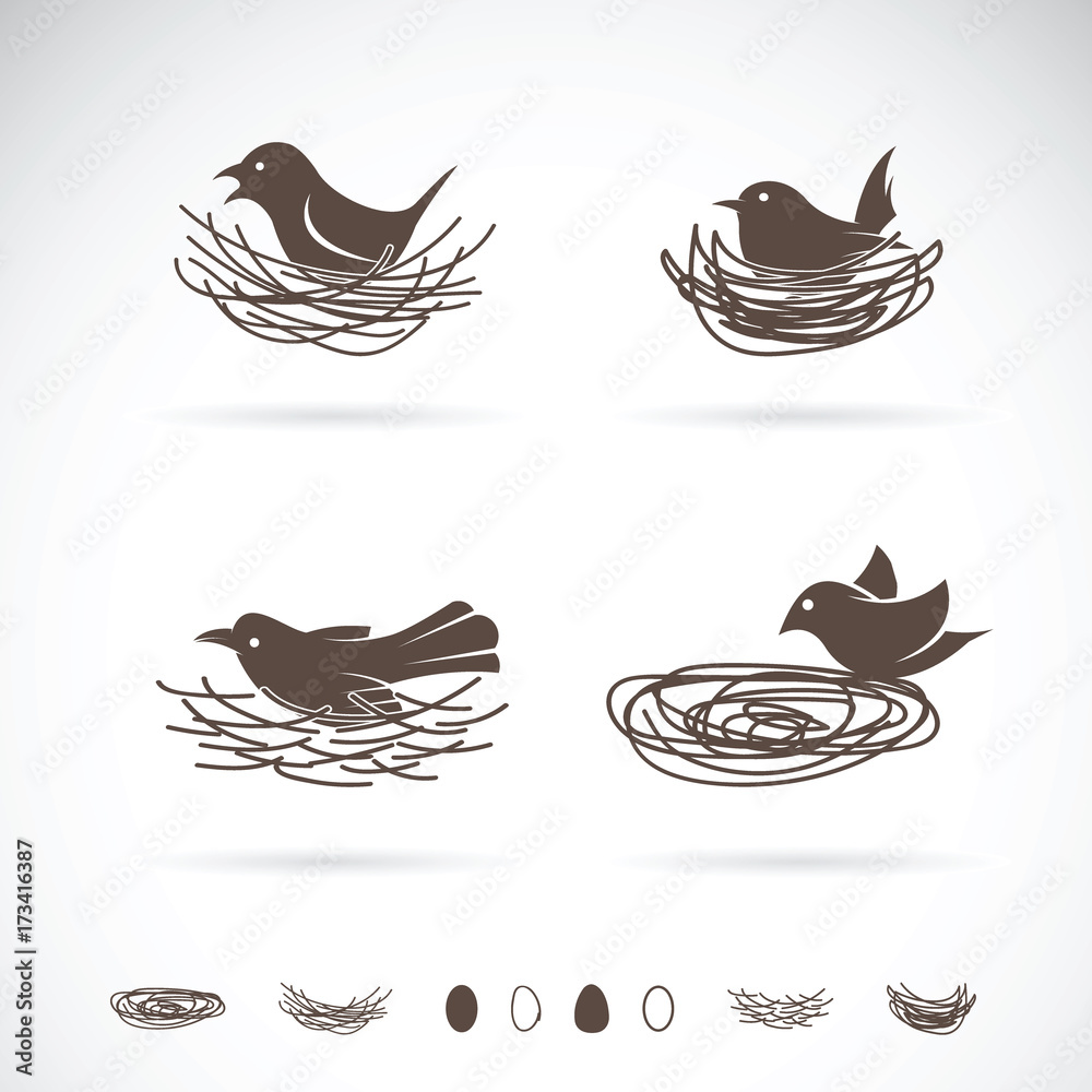 Vector of Bird and Nests on white background. Stock Vector | Adobe Stock