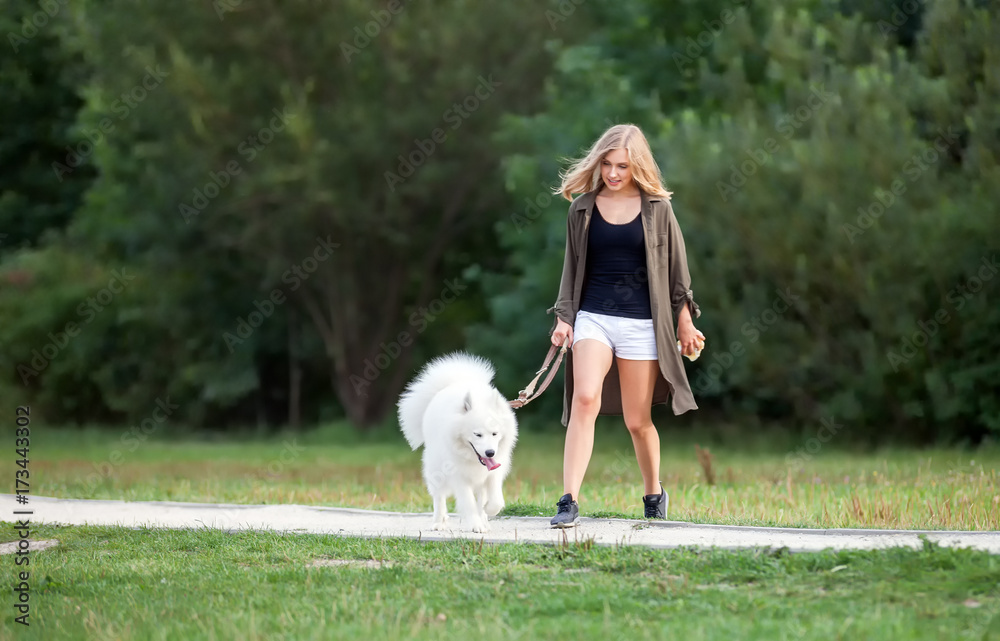 Girl walking dog at the park, samoyed Stock Photo | Adobe Stock