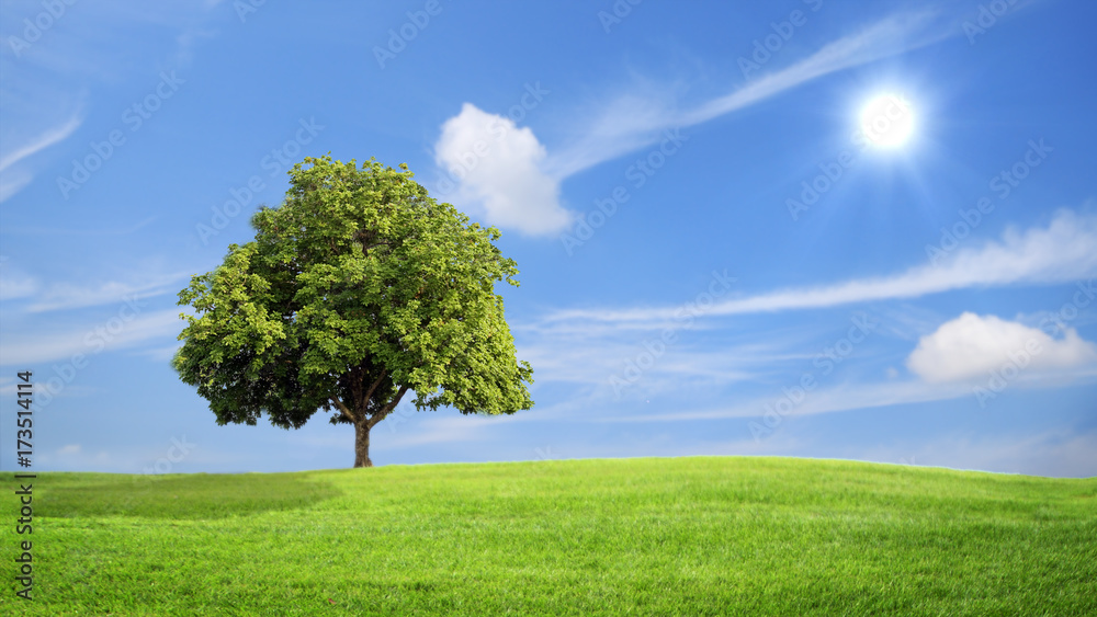Green grass and tree with clouds background, green concept. Stock Photo ...