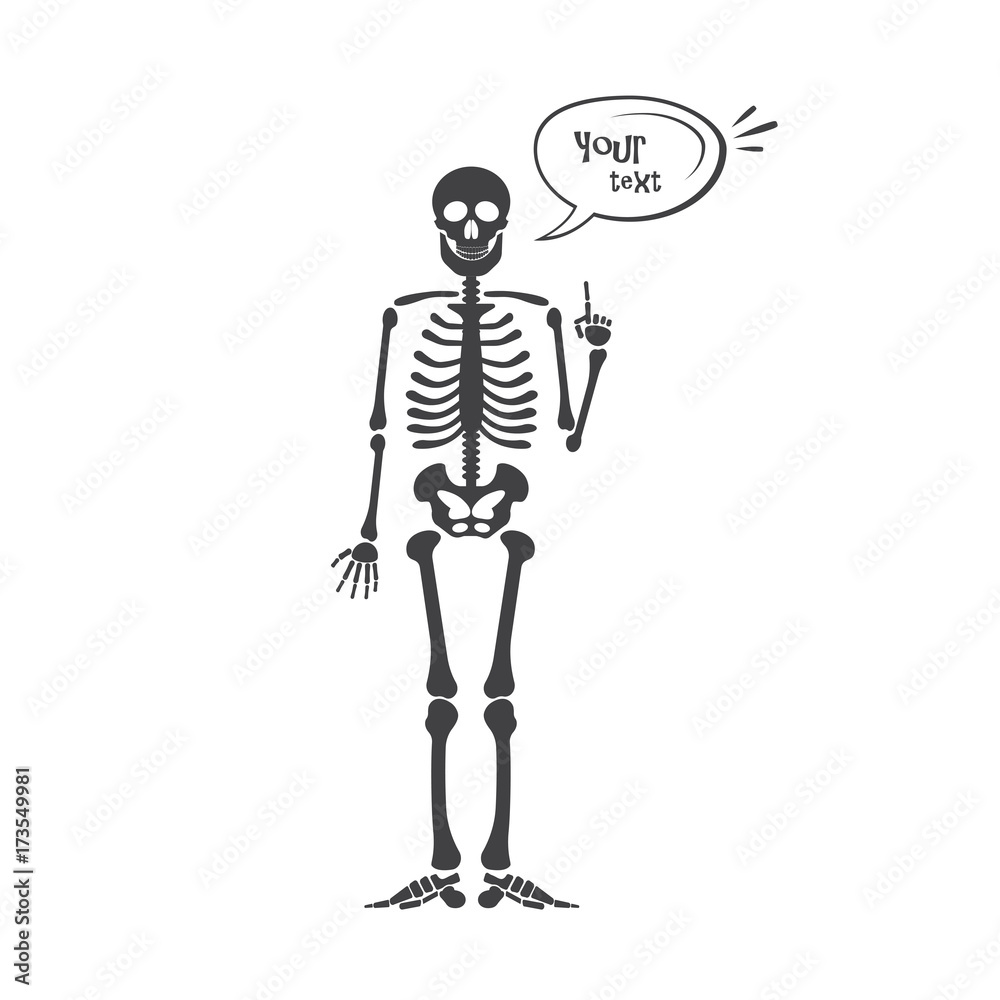 Skeleton human anatomy. Vector halloween black skeleton isolated on ...