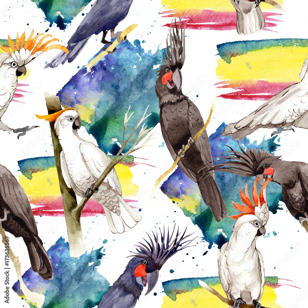 Sky bird white macaw parrot pattern in a wildlife by watercolor style ...
