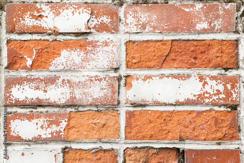 Old,aged,variegated, brick wall, moss growing in mortared seams. Great ...