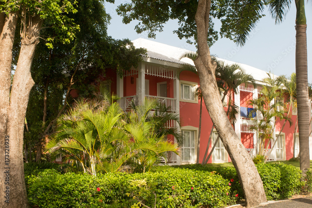 home in the countryside with palm trees, tropical plants and flowers ...