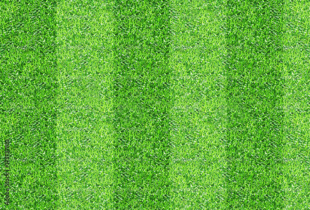 Seamlessly green grass texture background. Stock Illustration | Adobe Stock
