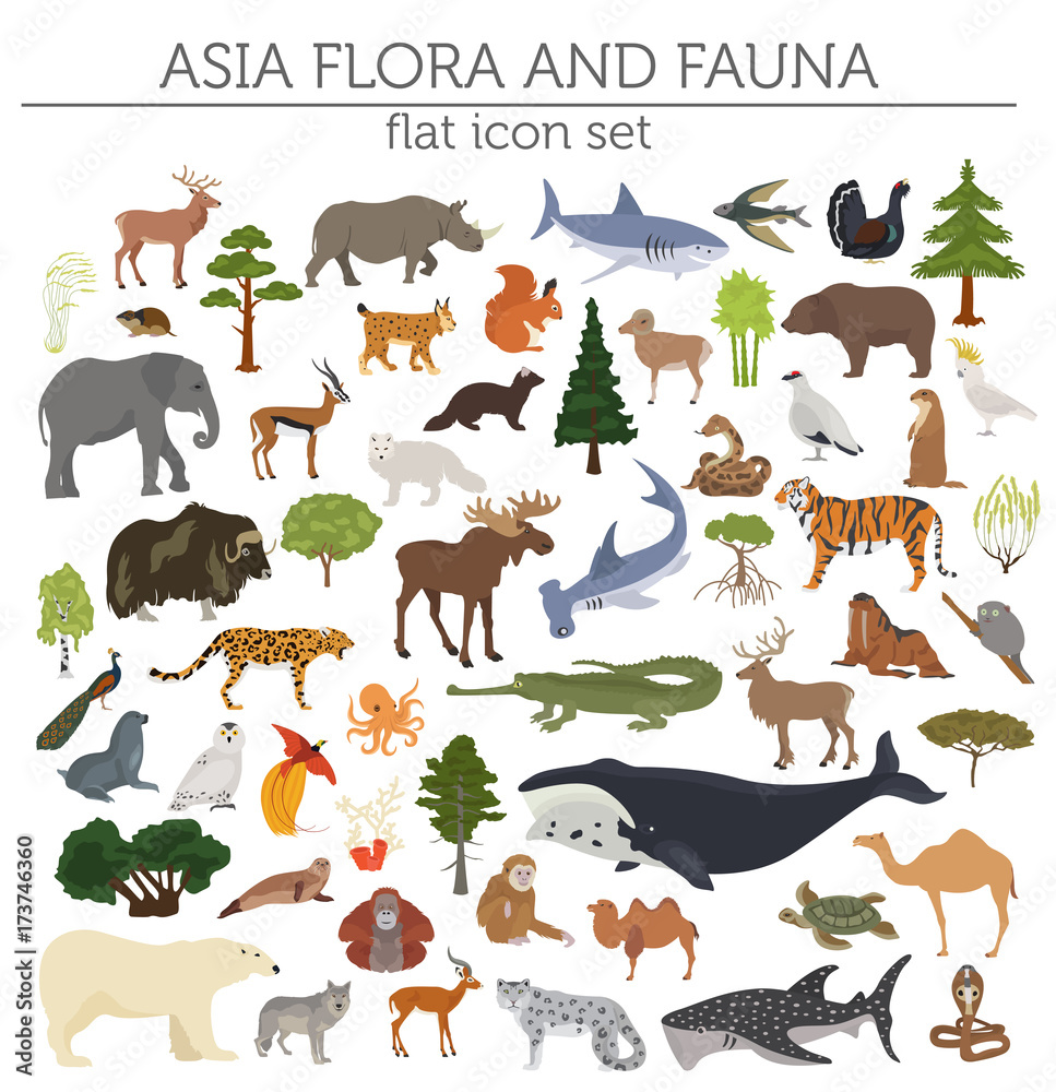 Flat Asian flora and fauna map constructor elements. Animals, birds and ...
