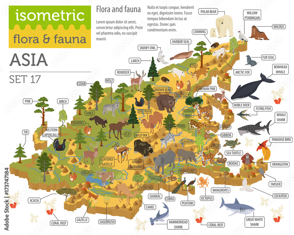 Isometric 3d Asian flora and fauna map constructor elements. Animals ...