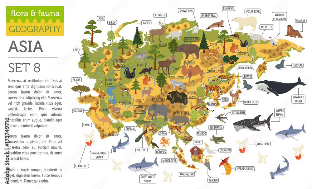 Flat Asian flora and fauna map constructor elements. Animals, birds and ...