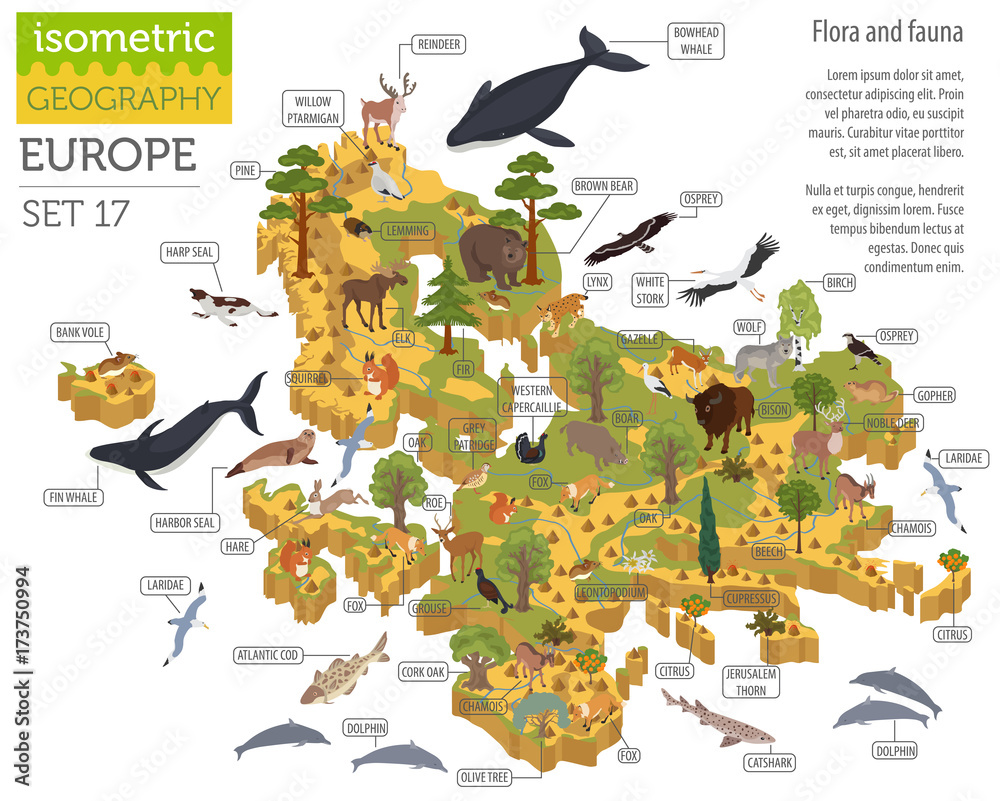 Isometric 3d European flora and fauna map constructor elements. Animals ...